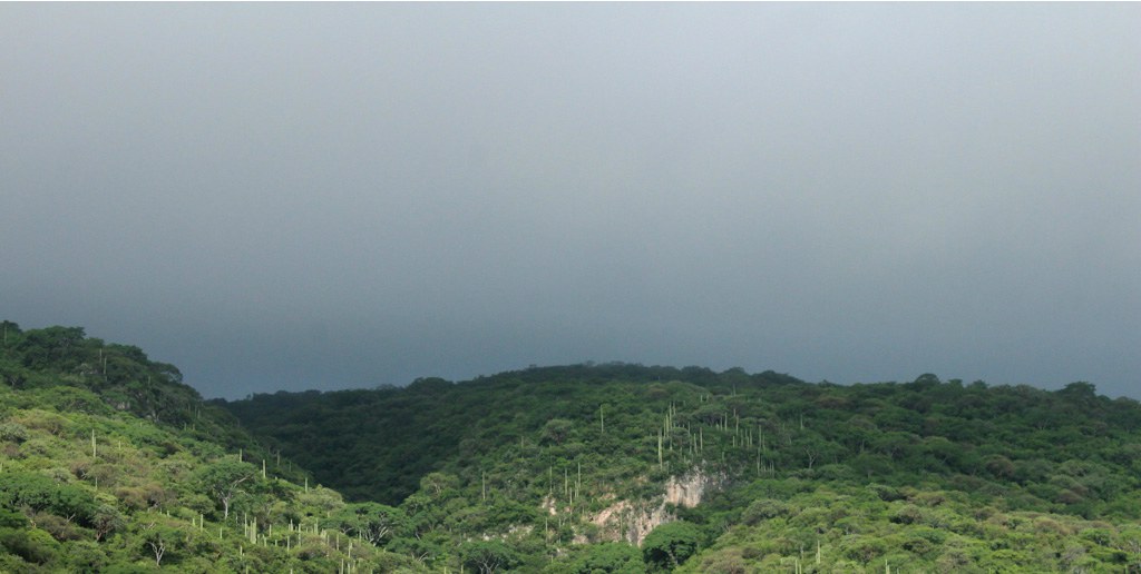 Estas son las 6 áreas naturales protegidas que hay en Morelos ...